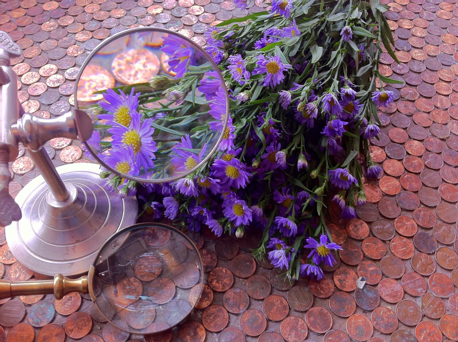 The Enchanted Petal: flower history