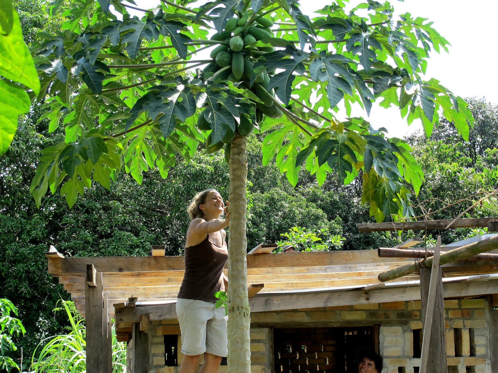 The Adventures of Andrea and Salvador: The Story of the Little Paw Paw ...