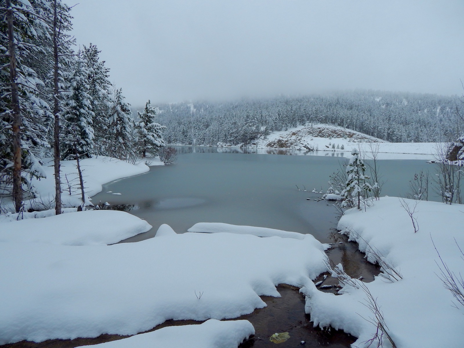 Beaver Brook - An Extraordinary Snowscape