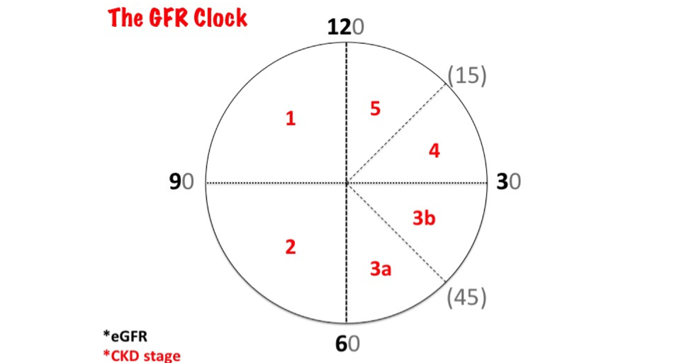 Renal Fellow Network: Chronic Kidney Disease for the Medical Resident ...