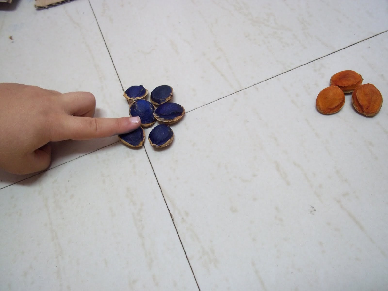 Homemade Arithmetic Manipulatives for Homeschooling | Penniless Parenting