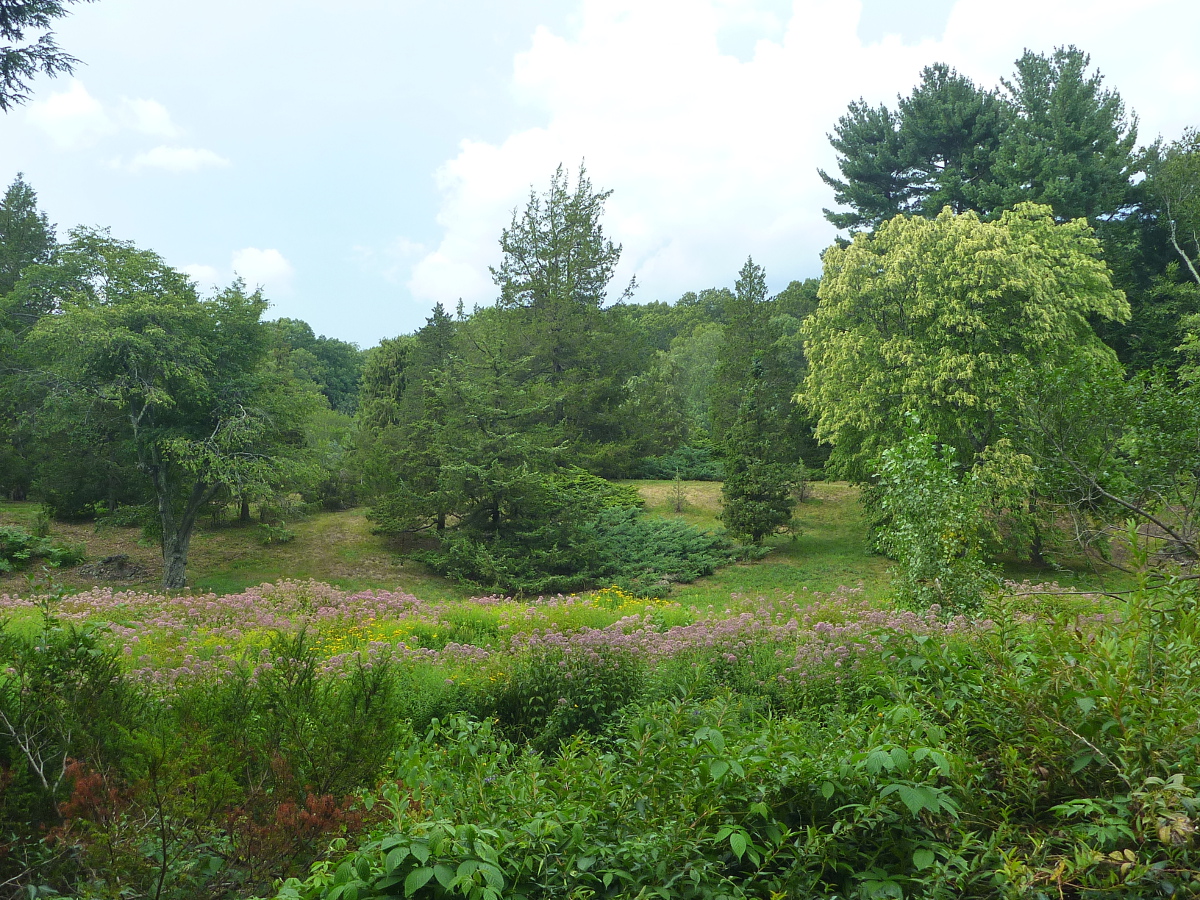 Trailing Ahead: Trails, trees and tranquility: the Arnold Arboretum has ...