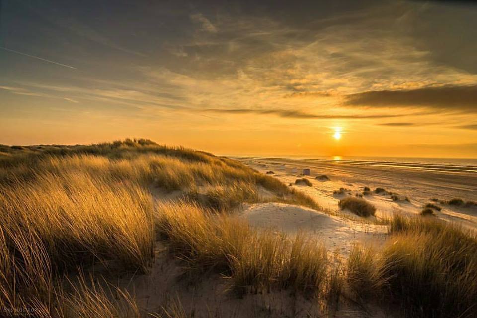 Auszeit für die Seele : Strandfoto