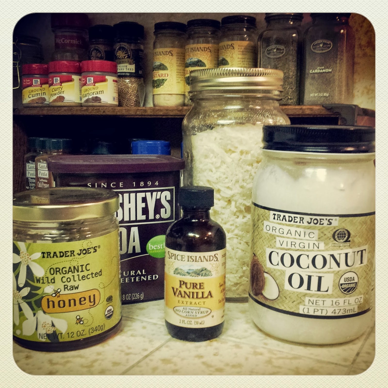 VAGABOND | ZEN: Chocolate Coconut Bites