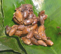 Mbanese Blog: UKWA AS MY FAVOURITE IGBO DELICACY