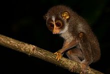 UPSC general studies and current affairs 2015: June 2012