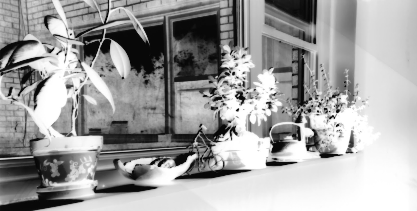 Pinhole camera process and documentation (ARTE 352 at Concordia University)