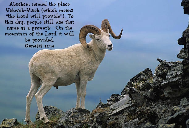 Scripture Saturday - Genesis 22:14 - Women in the Word