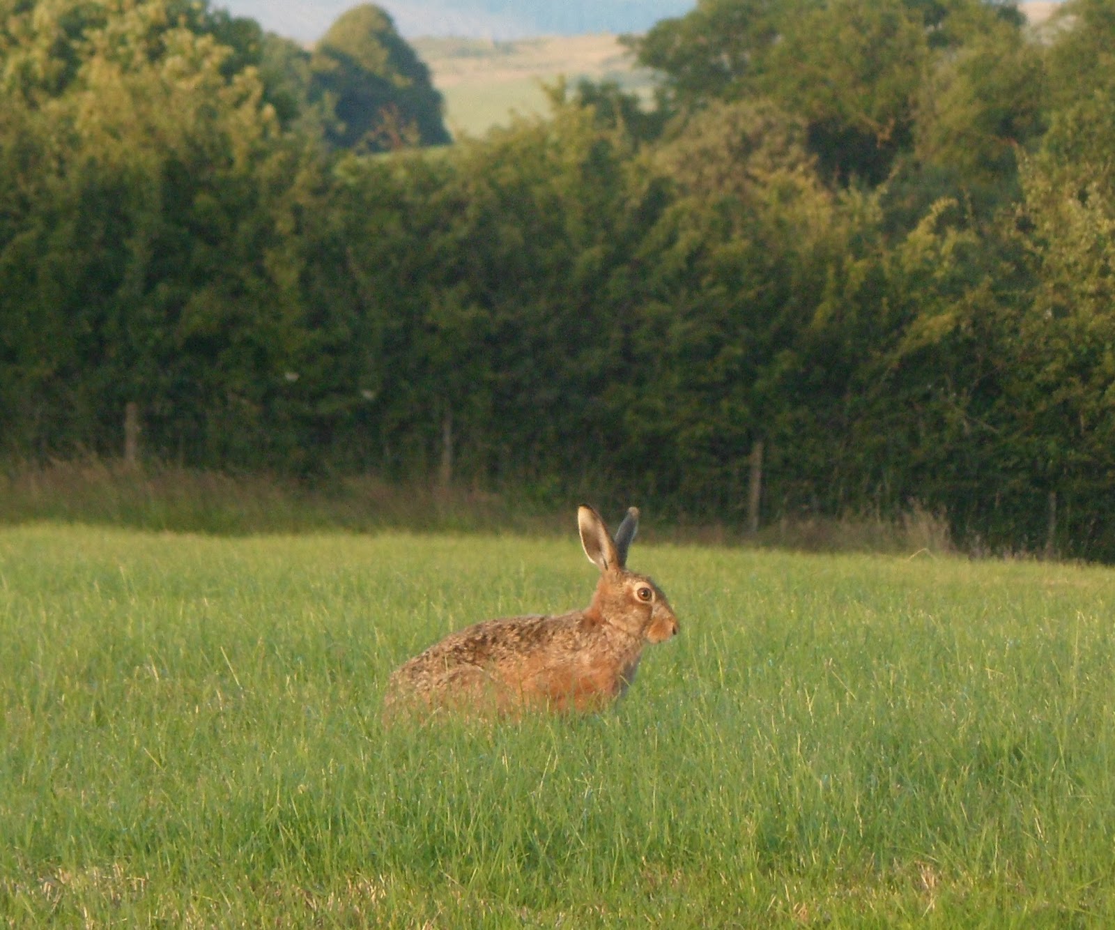 NTS Dumfries and Galloway Countryside Team