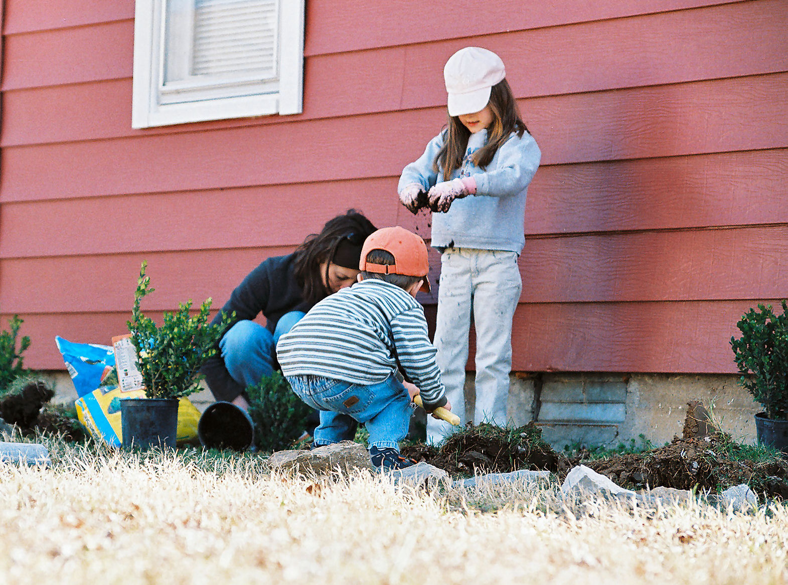 Crece Bebe: sembrando plantitas