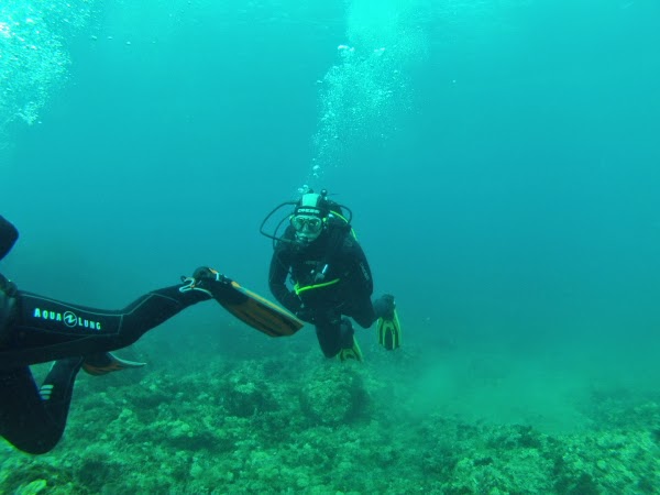 Best Spot Azores PADI 5* Dive Center: Underwater Azores Scuba Diving Buceo