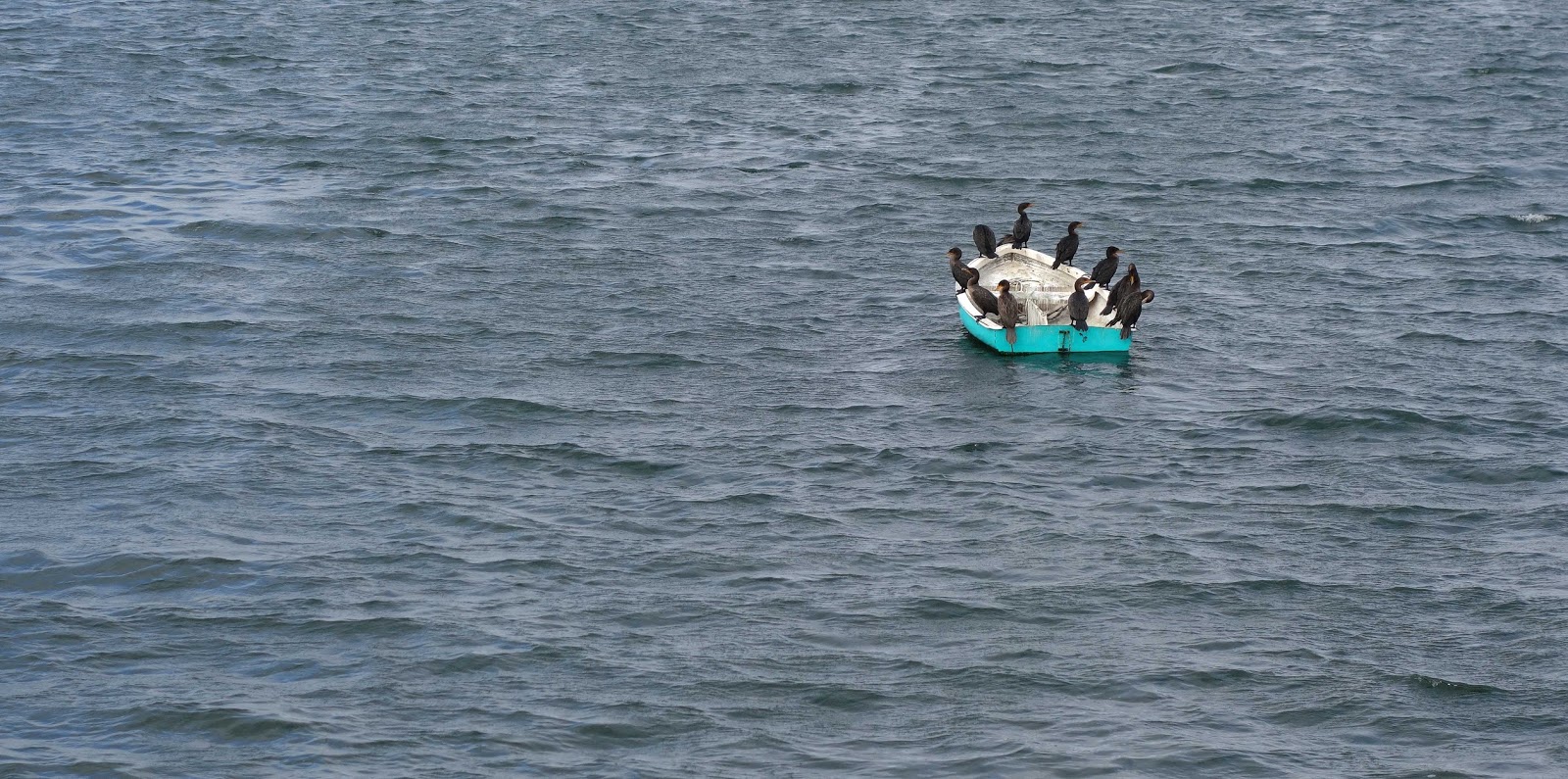 Row Boat: Row Boat Gunwale