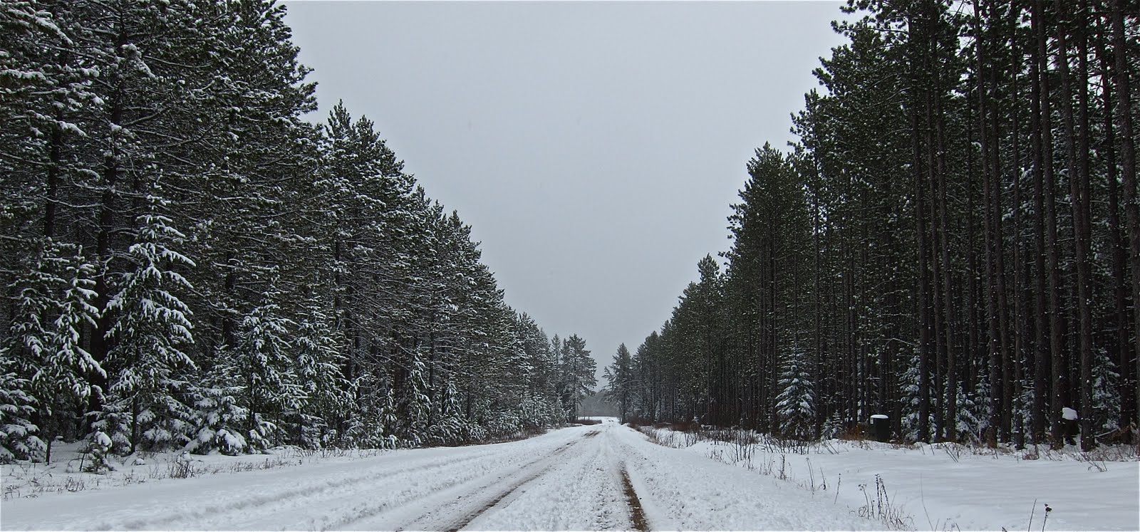 Bill's Magical Mystery Tour...: Spring Time Gravel in Northern Minnesota