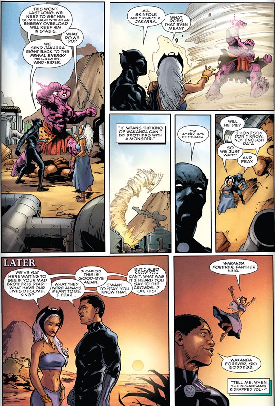 Black Panther Discussion and Appreciation: Black Panther vs Jakarra ...