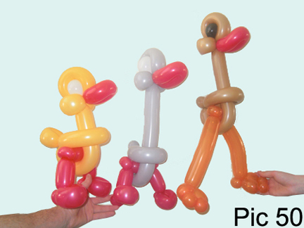 CLASSICAL: Balloon duck. Balloon goose. Balloon ostrich