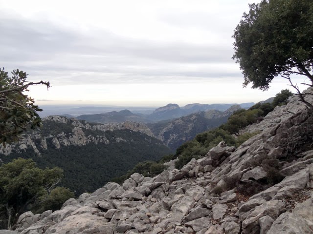 COLL DE SA BATALLA - PUIG DE MASSANELLA