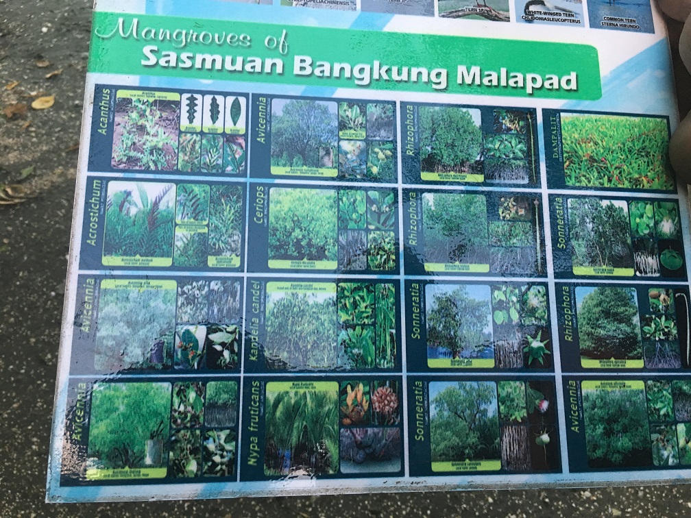 Kuraldal Festival and Bird-watching trip in Sasmuan, Lubao, Pampanga