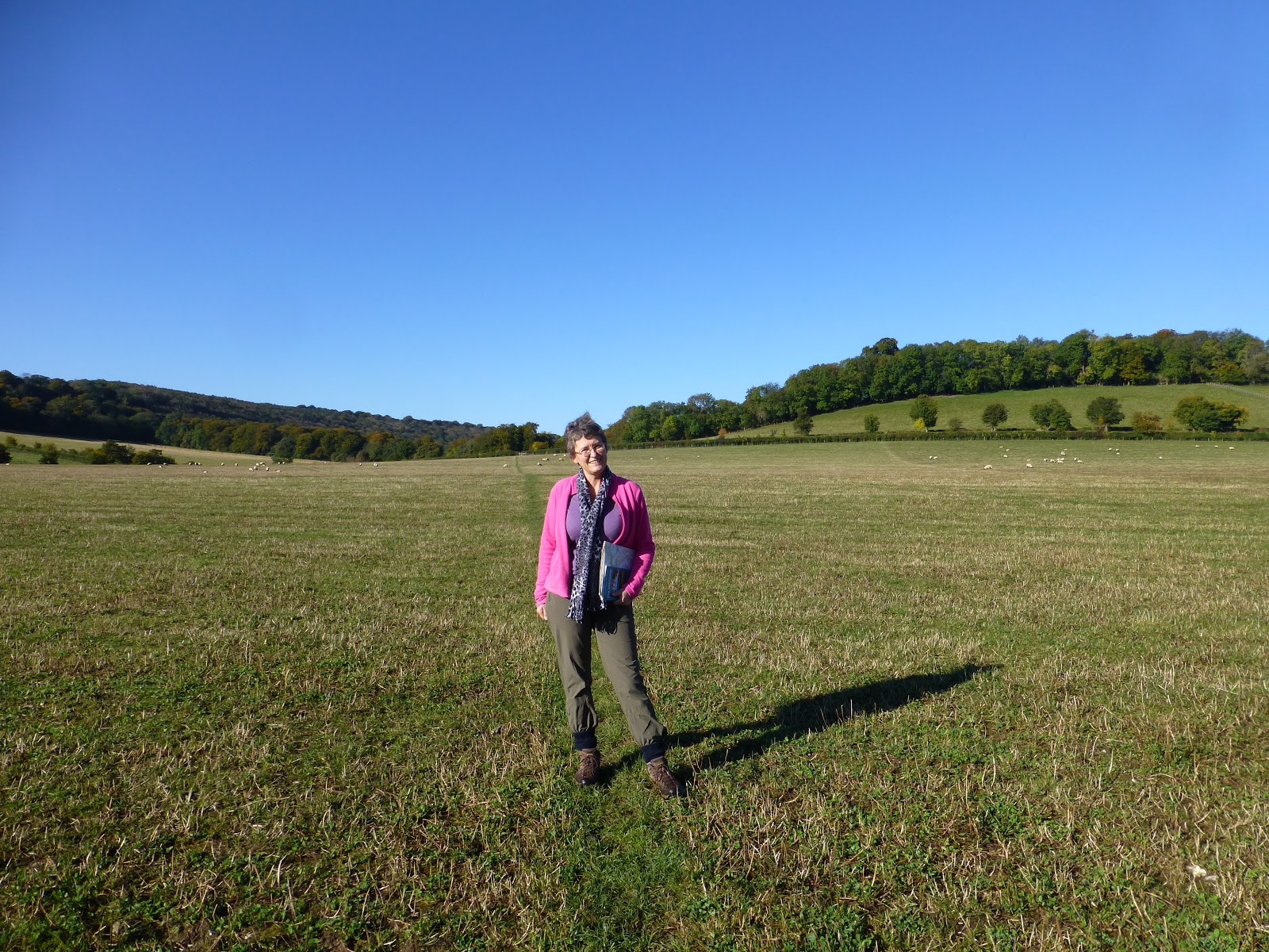 Rosie & Alan: muddy walkers: Autumn leaves in the Wormsley Estate
