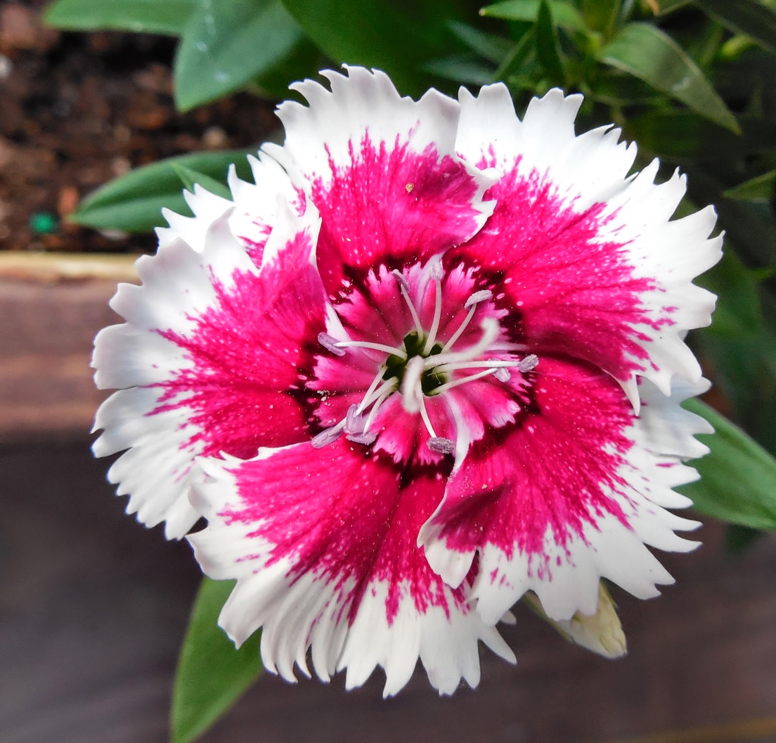 Square and Easter items