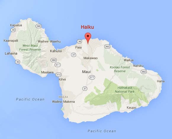 Maui Jungalow: Jaws and the Beach