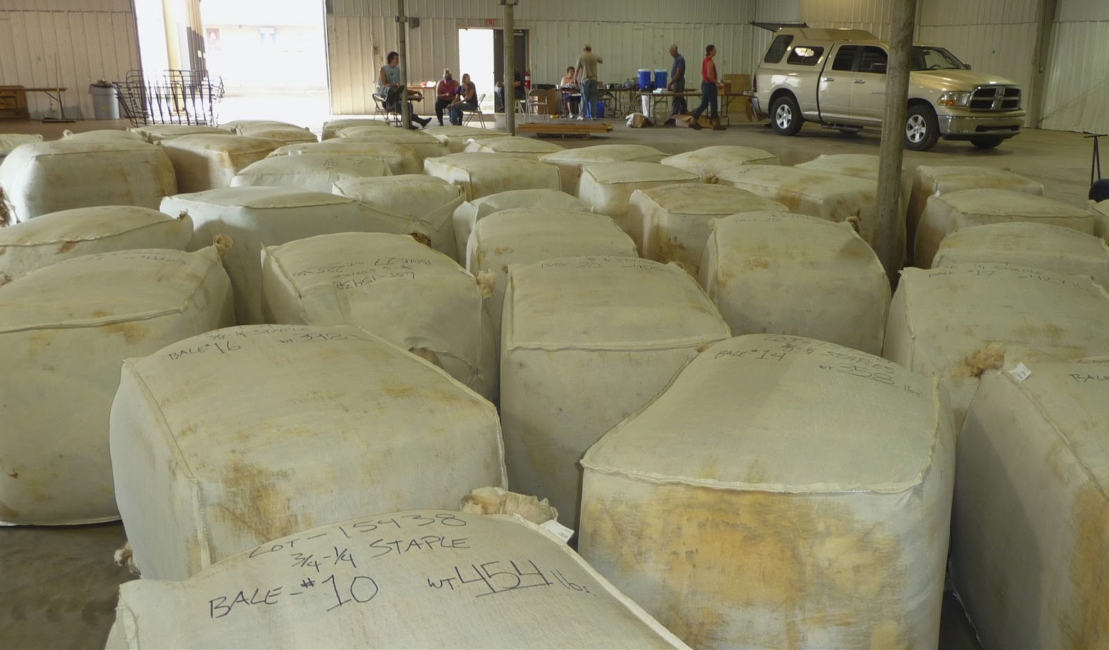 Wild Rose Farm: Busy At The Wool Pool!