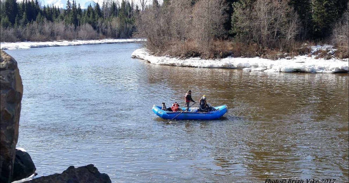 Houston British Columbia: Tracking Wildlife Floating The Morice River ...