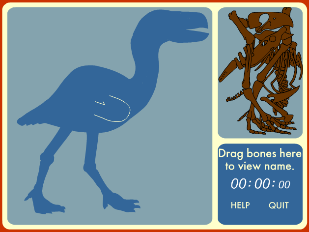 3rd Grade: Interactive Games and a Song About Fossils