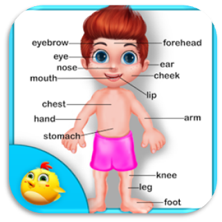 Learn all the Human Body Functions Practically Through Games