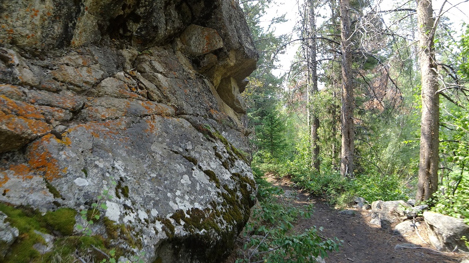 Dream Packer Wyoming Trails: Boulder Canyon