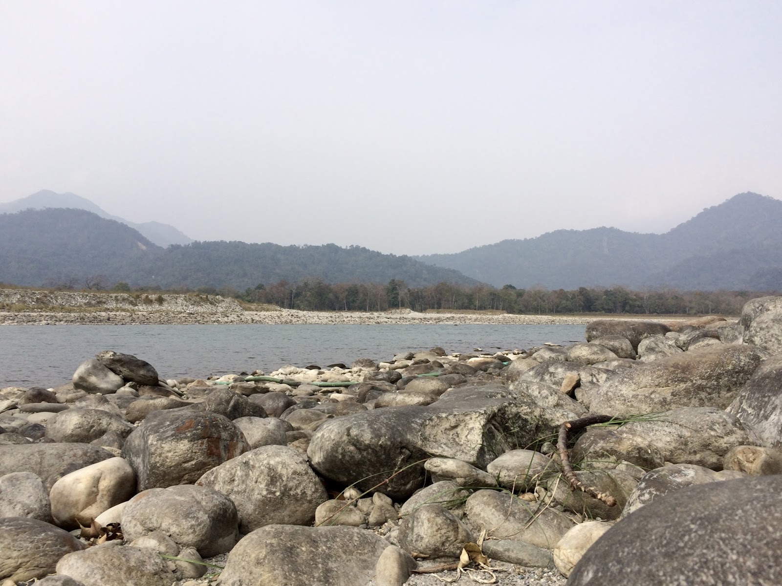Explore Indialand: Visiting Manas National Park: UNESCO World Heritage ...