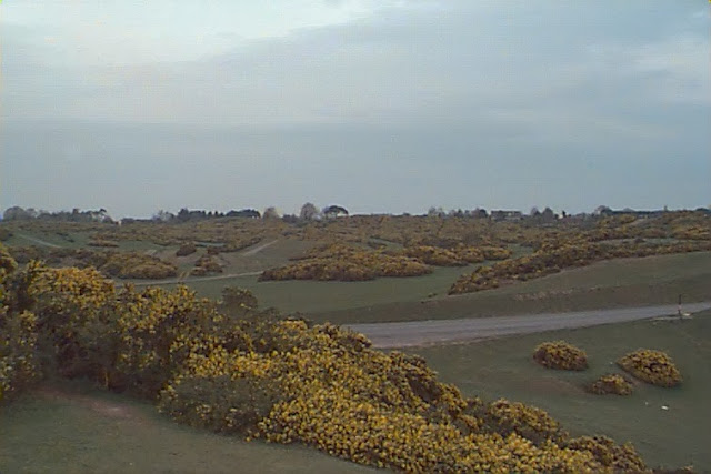 The Curragh of Kildare History Blog____________: Mission 1