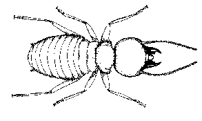 Themes of Parasitology