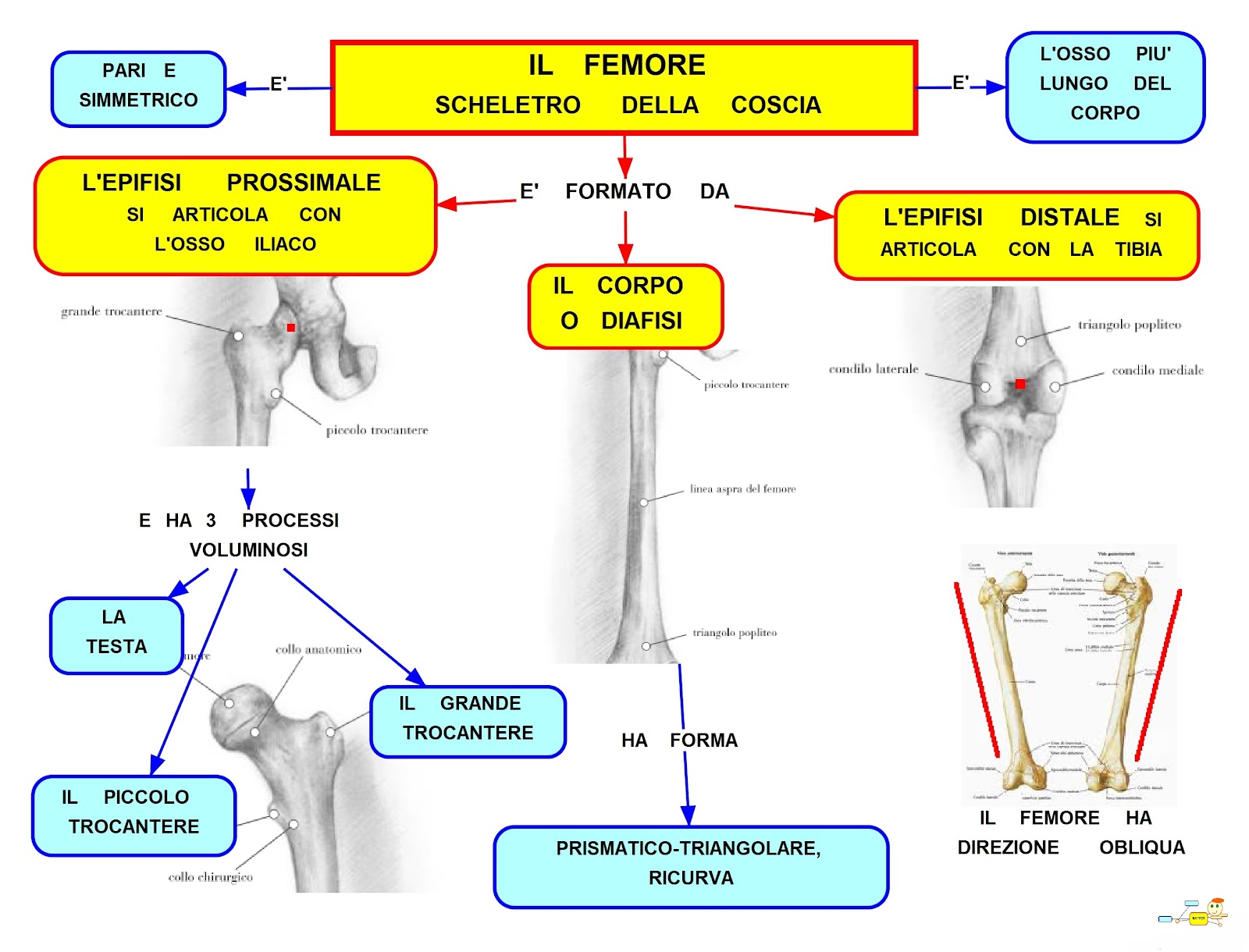MAPPER: febbraio 2012