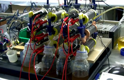 Renewable Kinabalu: UK Researchers Power Mobile Phone With Urine