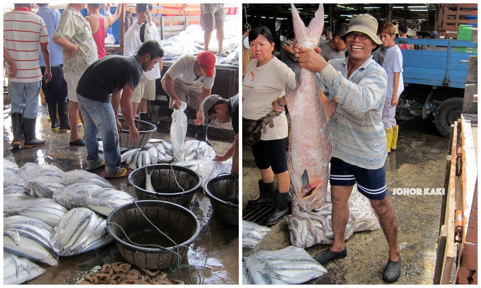 Pontian Wholesale Fish Market Update 2018 |Tony Johor Kaki Travels for ...