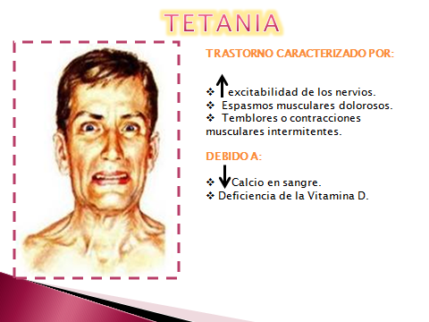 ..FISIOLOGIA MEDICA..: Musculo