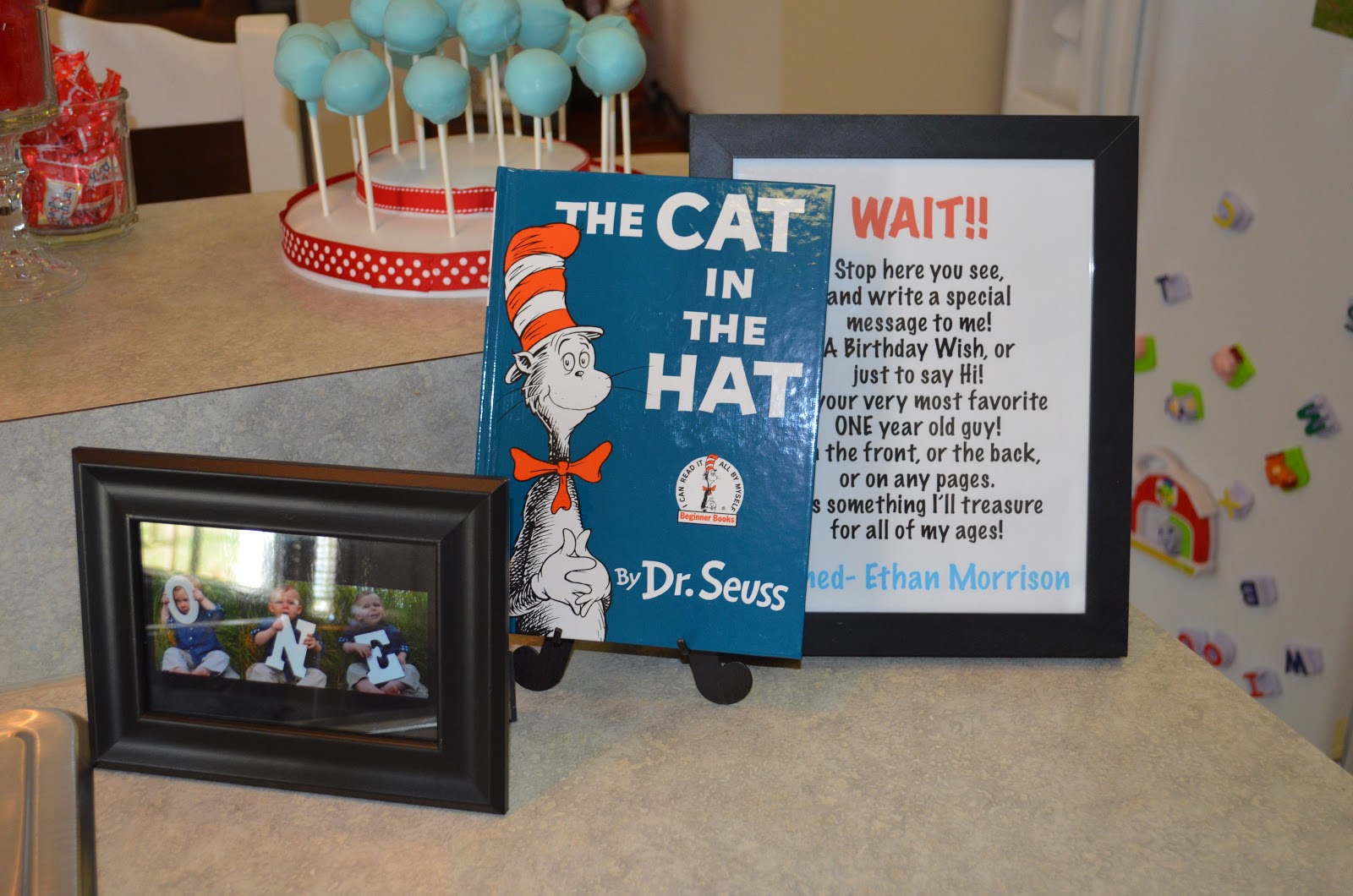 The Adventures of E Squared: Cat in the Hat First Birthday