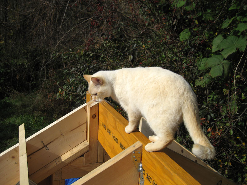 RiverEdge: Roof Rafters 7