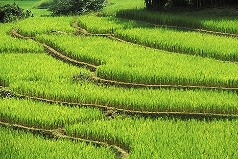 2016 | International Political Economy Zone