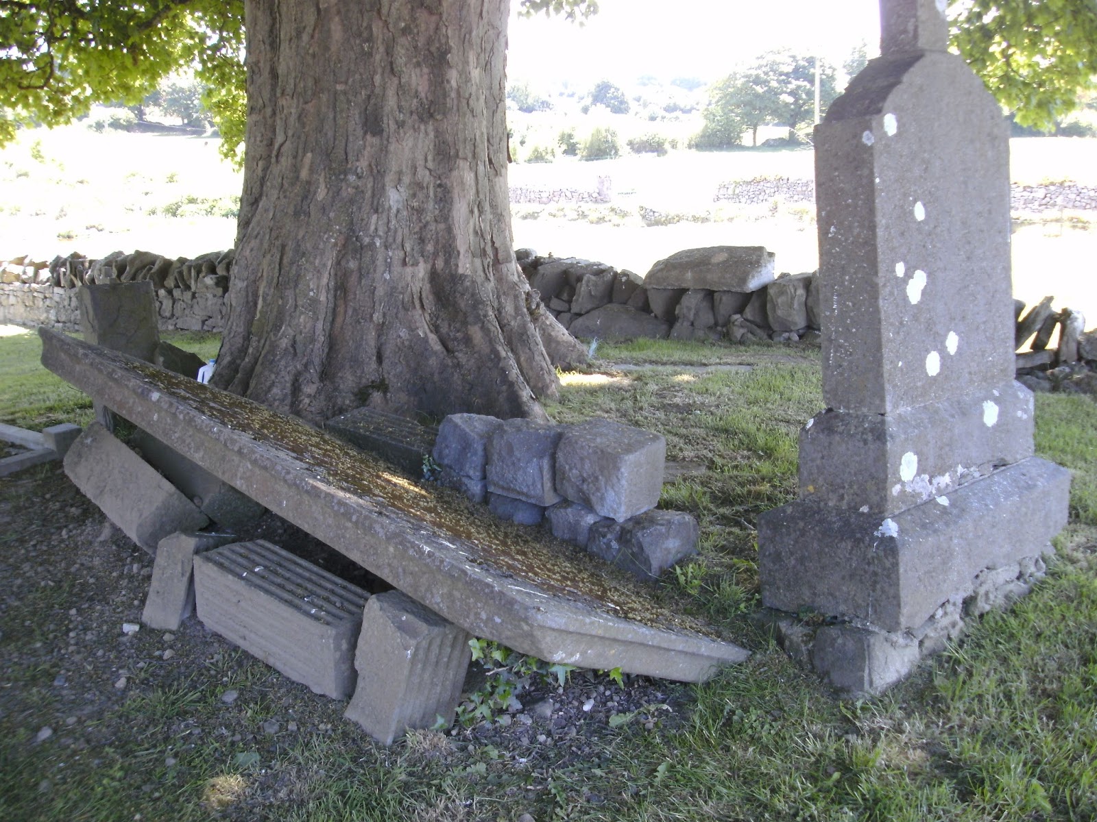 Kilkenny Graveyards: June 2016