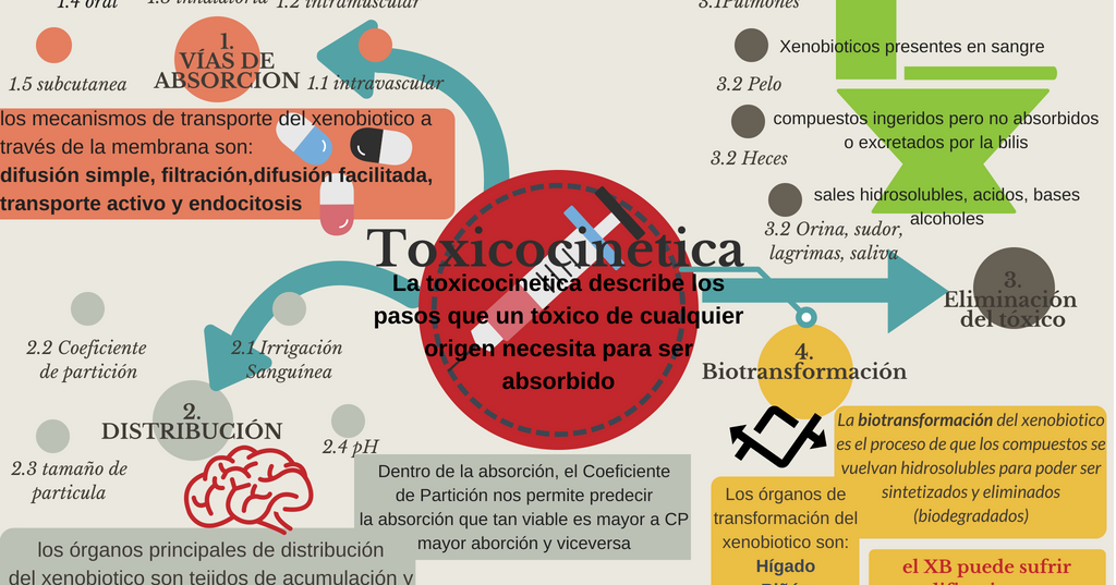Toxicología: Toxicocinética