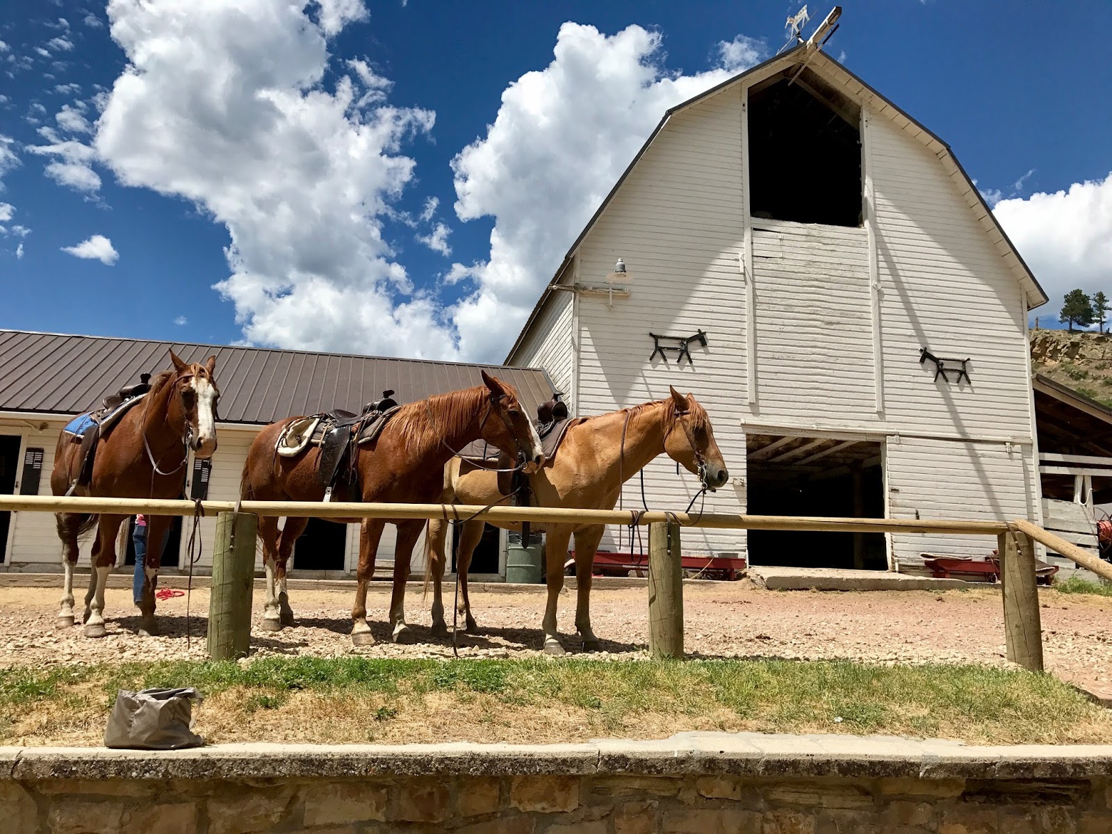 Good Girls in the Badlands: Eaton's Ranch Debi