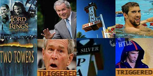 15 Of The Best "Triggered" Memes (16 pics)