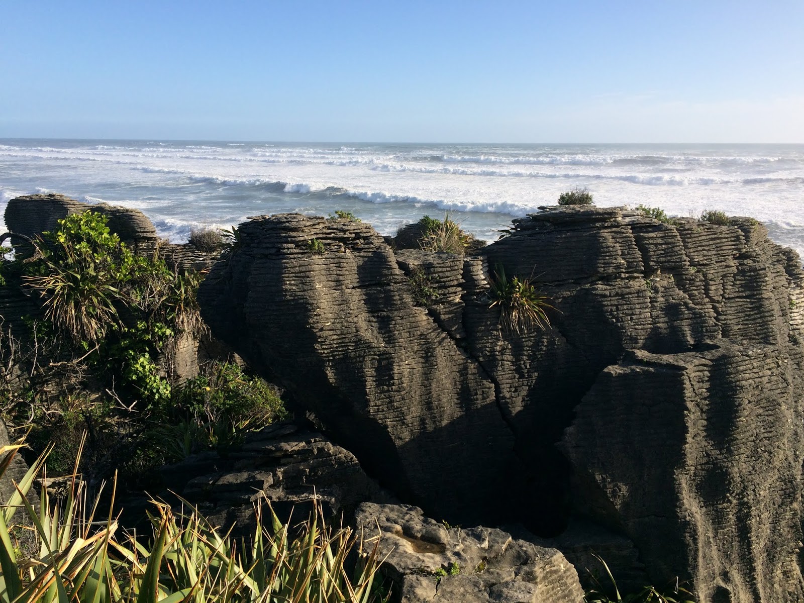 Explore and Discover Nature: Exploring Patterns in Nature - finding ...