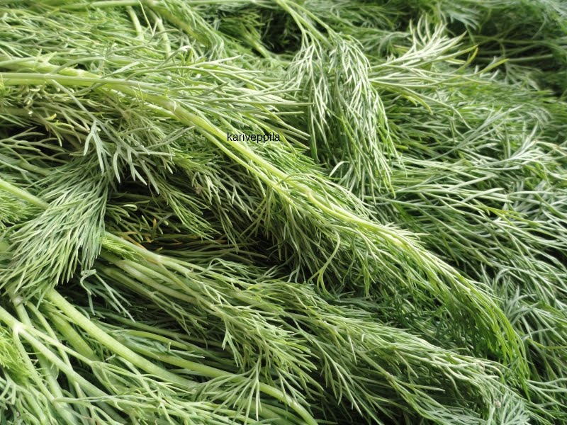 Kariveppila കറിവേപ്പില: 2012