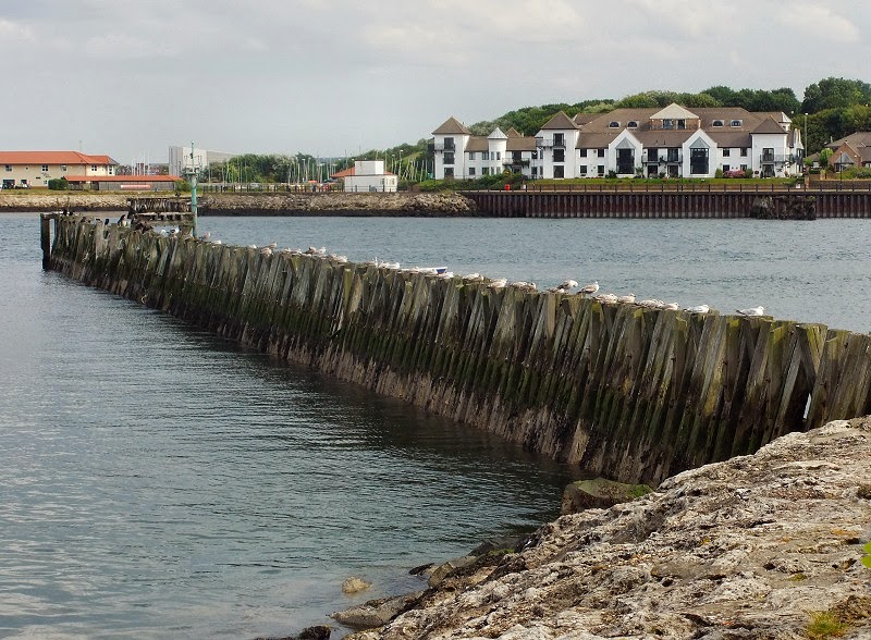 Photographs Of Newcastle: North Shields Fish Quay