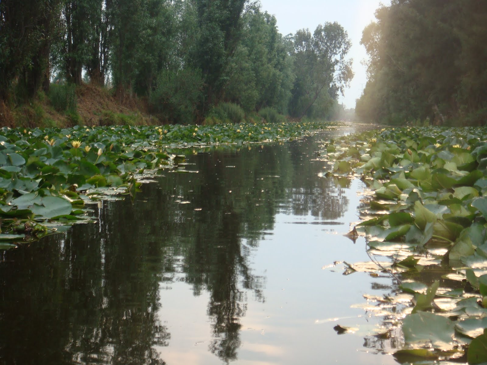 ETERNA VIDA: AGUA EN XOCHIMILCO