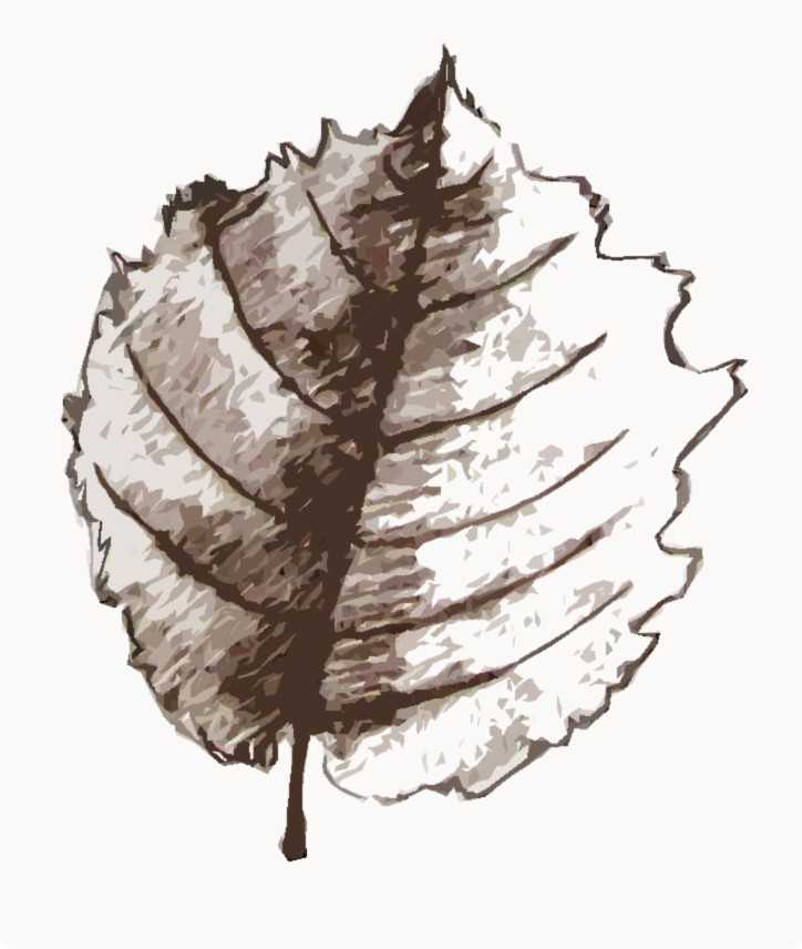 cuvinte din noi: Frunza de alun