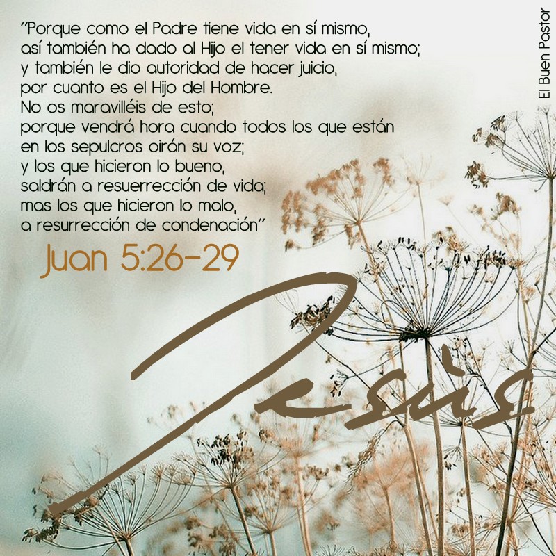YO SOY EL BUEN PASTOR: Juan 5:26-29