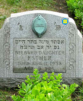 A Grave Interest: Cemeteries Worth the Visit - Waldheim Jewish Cemetery ...